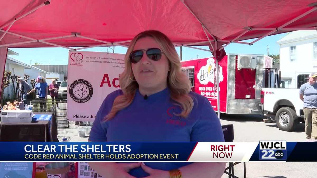 Bryan Animal League held Code Red Rescue to empty their shelter