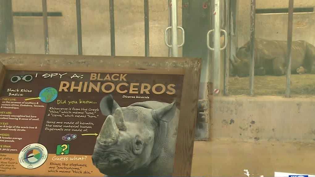 Milwaukee County Zoo asking for $16 million for rhino exhibit