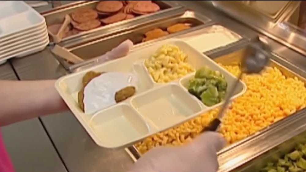 Legislation introduced to provide free meals to all students at school
