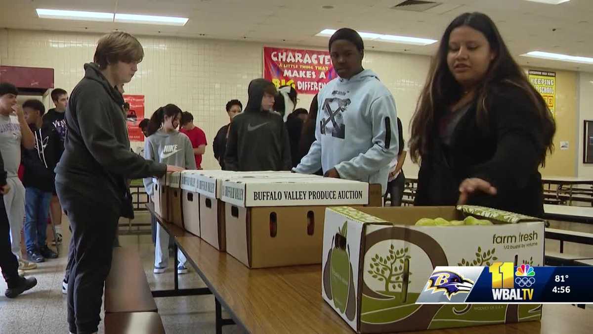 Student-run 'Viking Food Pantry' picked for Ravens' 'Honor Rows'