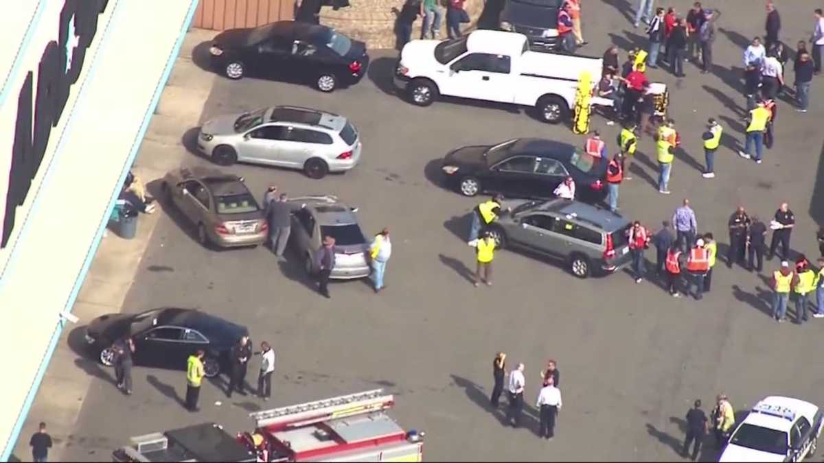 Witness describes chaos after car auction house crash