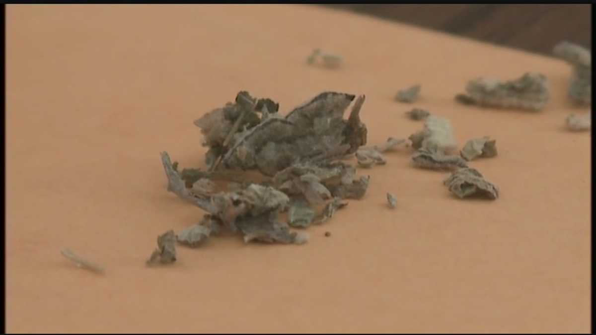 More synthetic marijuana overdose cases reported