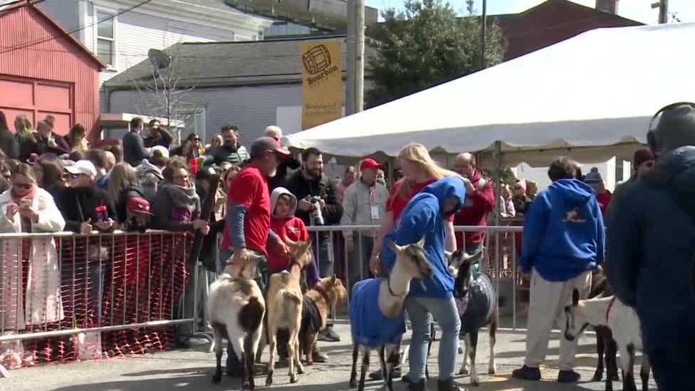 Bock Fest returns to NuLu with goat racing and plenty of beer and sausage
