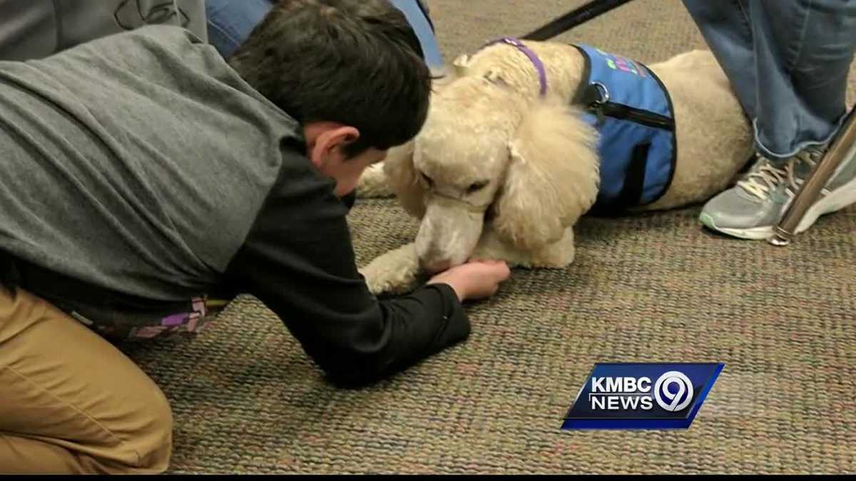 Groups fundraising to bring service dog to center to help children ...
