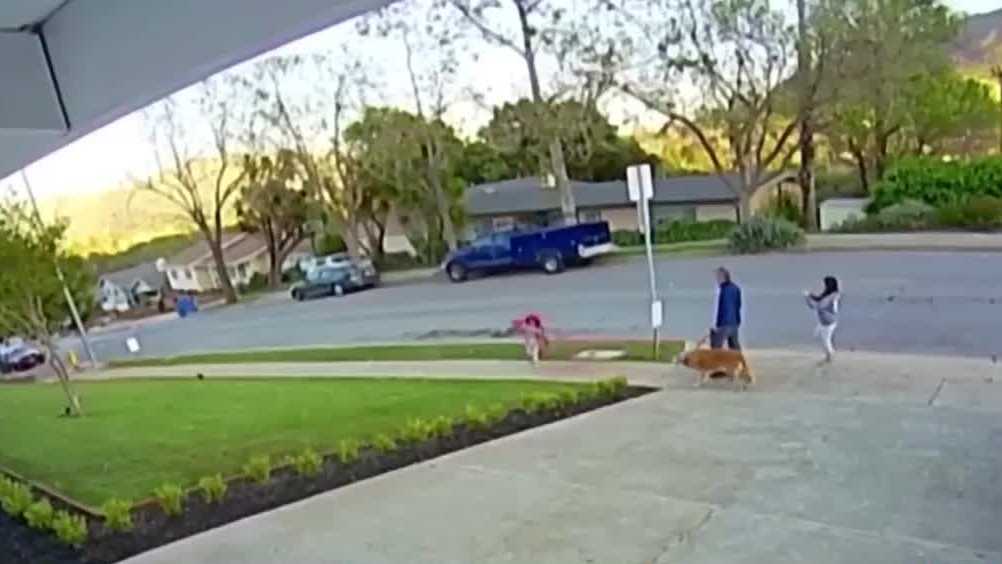 Ministry of Silly Walks: California family brings laughs to ...