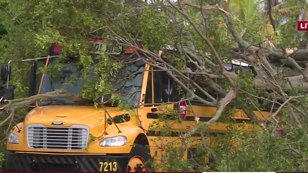Tree falls on school bus in Florida