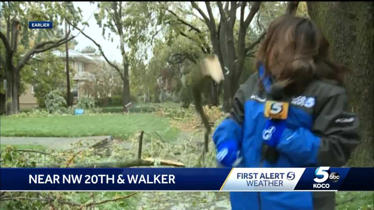 Video: Falling tree branch almost hits KOCO 5 Meteorologist Sabrina Bates