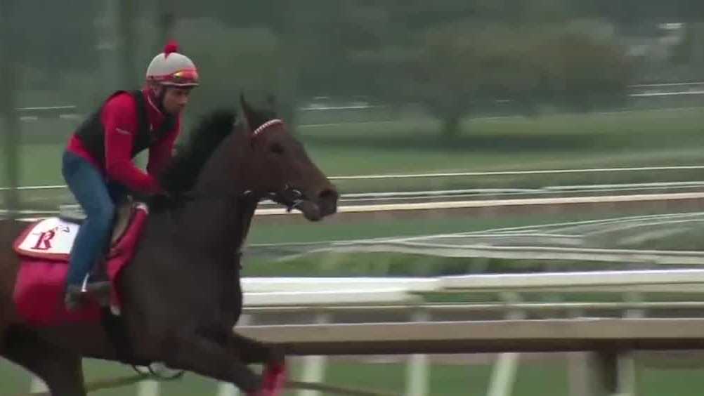 After deadly season, horse racing officials meet in Sacramento