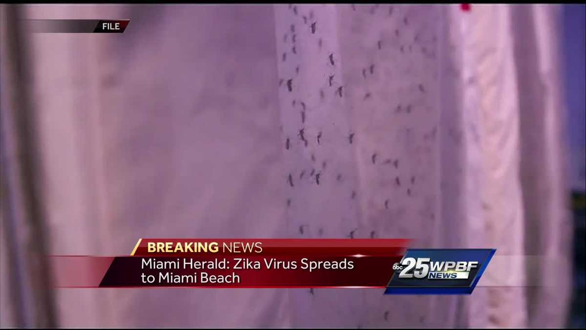 Zika virus spreads to Miami Beach