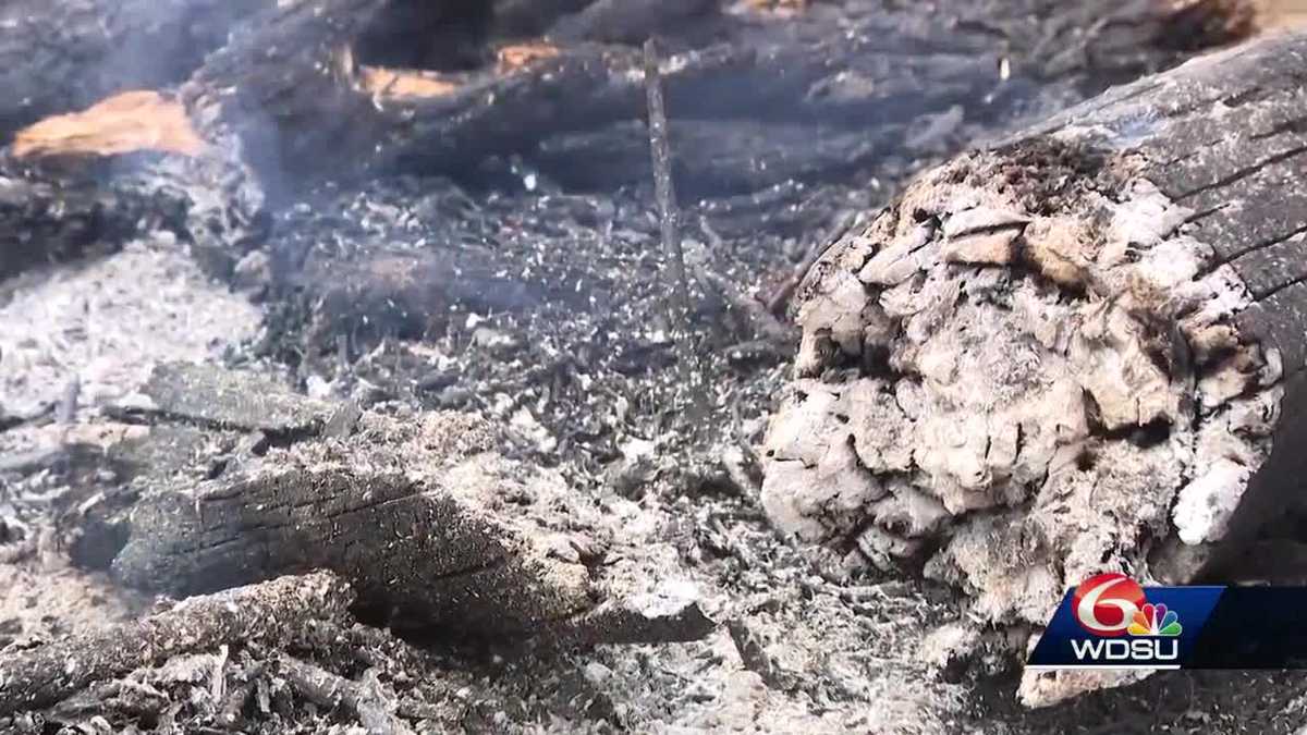 Louisiana GOHSEP holds news conference about statewide burn ban ...