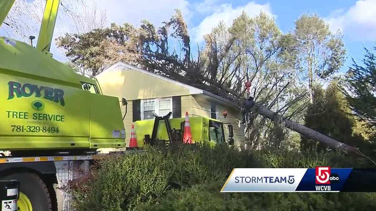 'Enormous crash'; Tree removal companies begin storm cleanup in Mass.