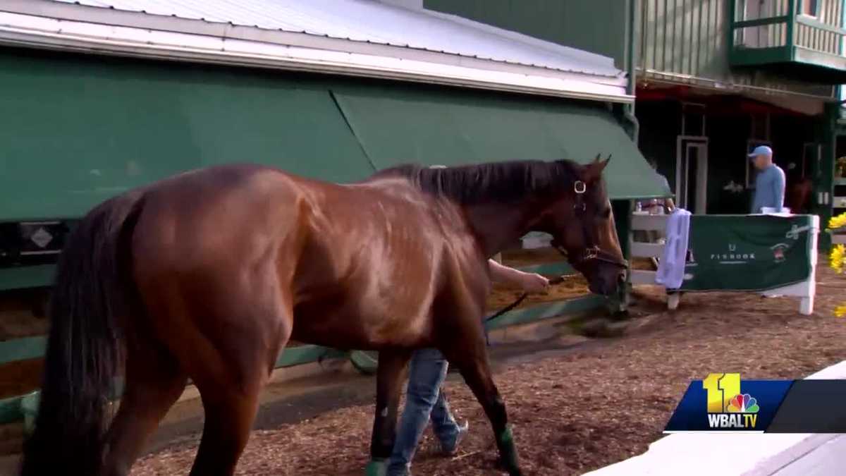 Effort to get Lasix out of horse racing as performance enhancer comes ...