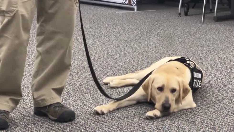 Nebraska State Patrol adds Electronics Detection K-9
