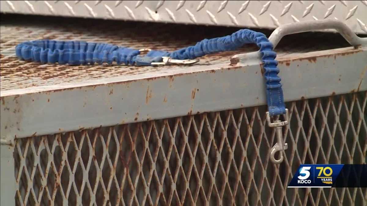 CCSO reopens investigation into Lexington dog shelter