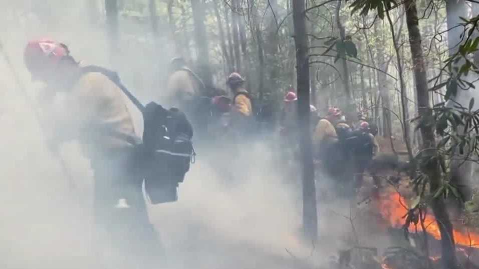 KY state park reopens after wildfire scorching over 100 acres