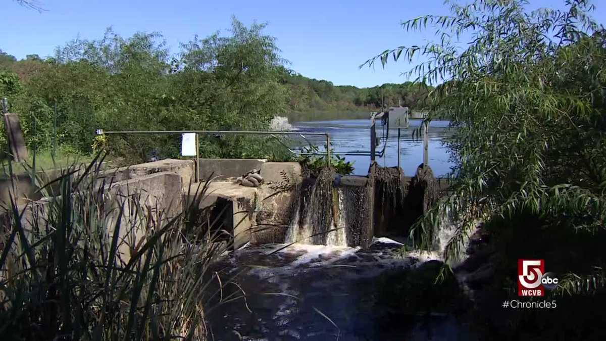 The Charles River Watershed call to remove obsolete dams to help ... The Charles River Watershed call to remove obsolete dams to help ...