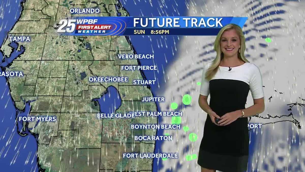 Taylor's Video Forecast