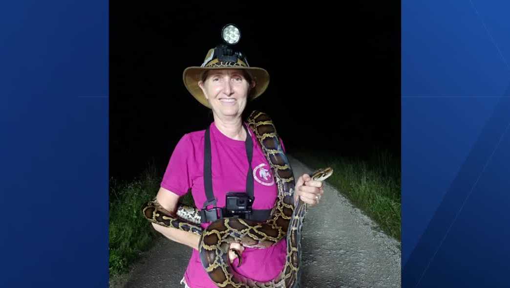 Woman catches 16 invasive pythons in Florida Everglades in one month