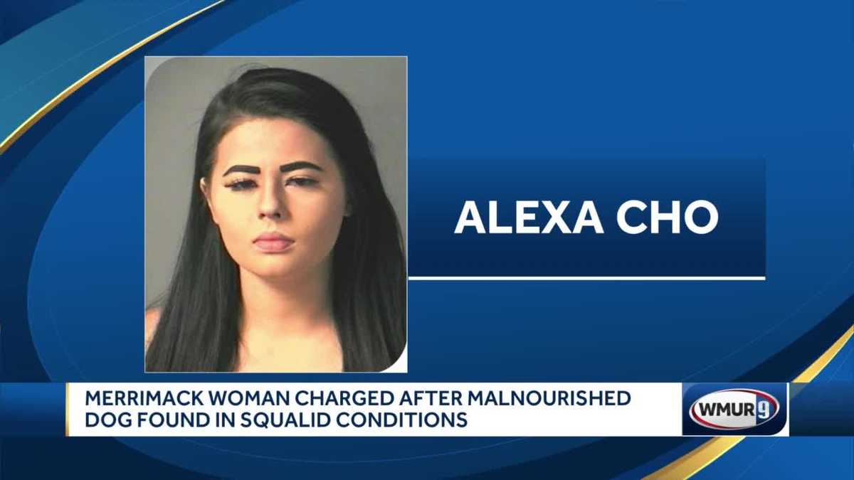 Woman charged after malnourished dog found in squalid conditions