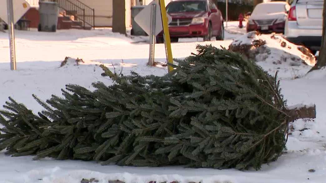 Milwaukee tree collection begins as holiday decorations come down