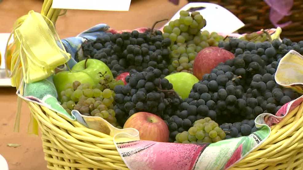 2024 Lodi Grape Festival begins four-day run