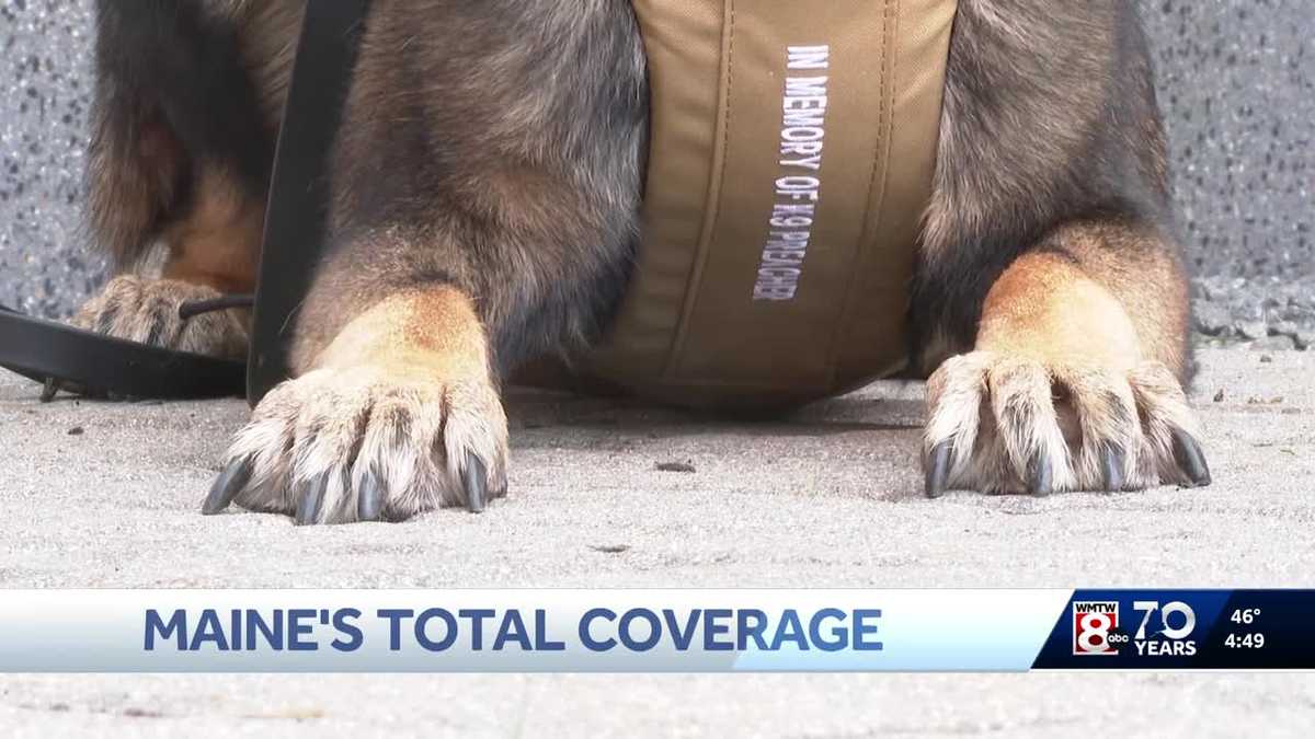 Wells Police K-9 receives new protective vest thanks to donation