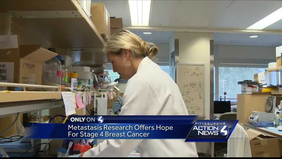 Metastasis research offers hope for Stage 4 Breast Cancer