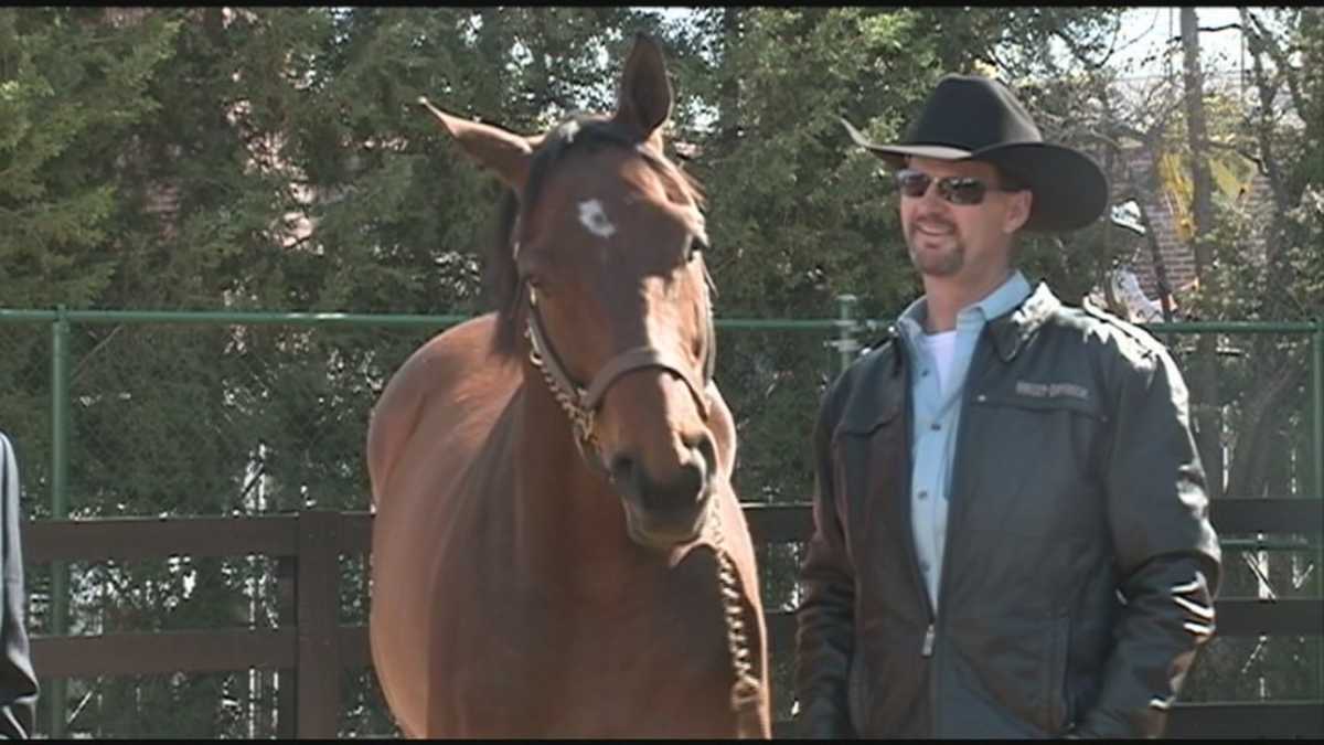 Mine That Bird returns to Louisville ahead of movie premiere