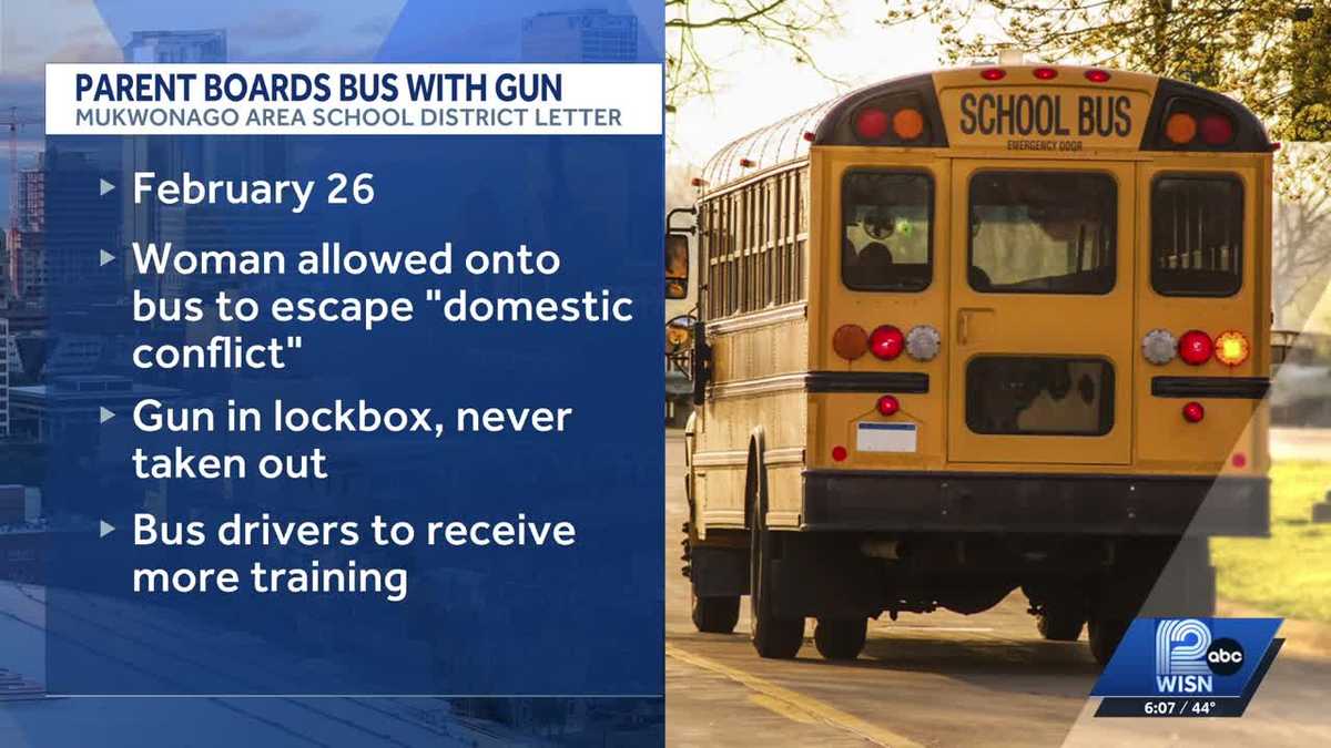 Bus driver let mom with gun on school bus amid domestic conflict