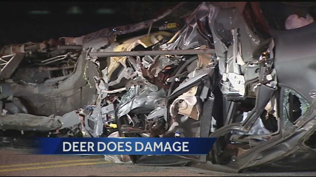 Watch out: Deer vs. car crashes reach peak season