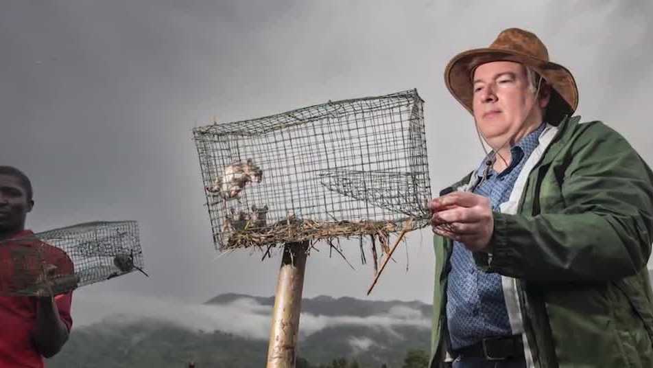 Rats! Meet the Mainer who is an national rat expert