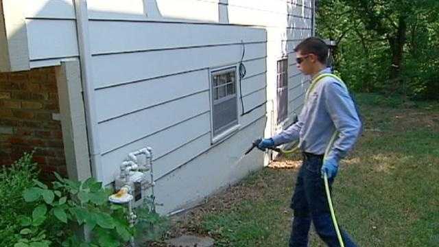 Heat brings spiders into homes
