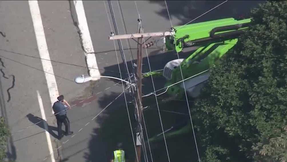 Witnesses: Tree worker in cherry picker electrocuted after hitting ...