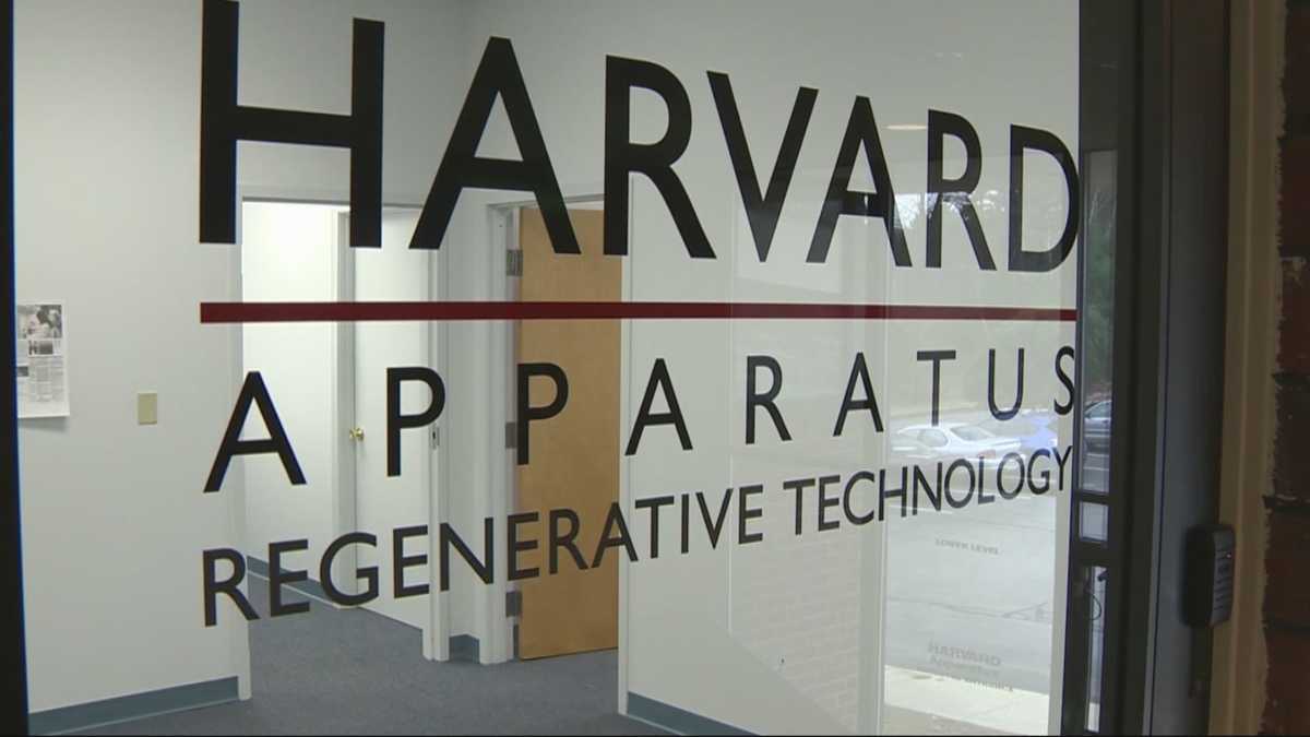 Lab-grown human organs available for transplants