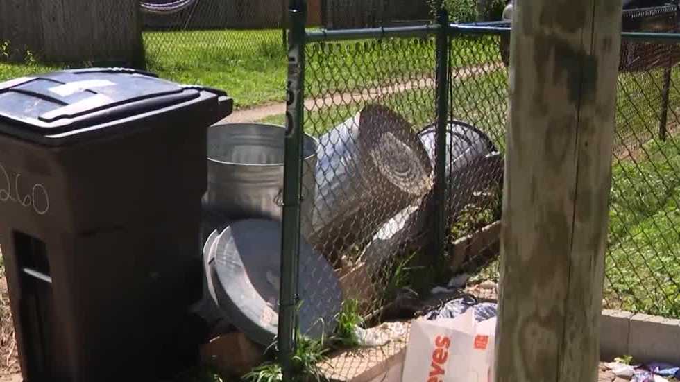 'It's gross': Some Towson residents fight rat infestation