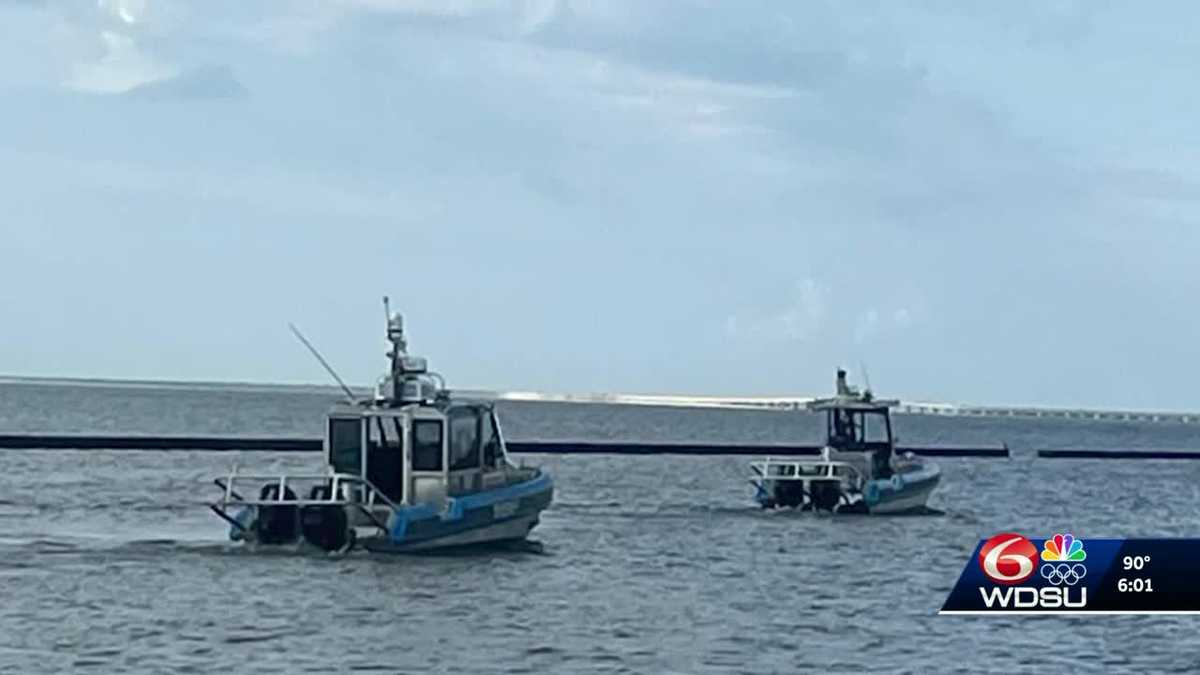 New details emerge on missing boater who plunged into Lake ...