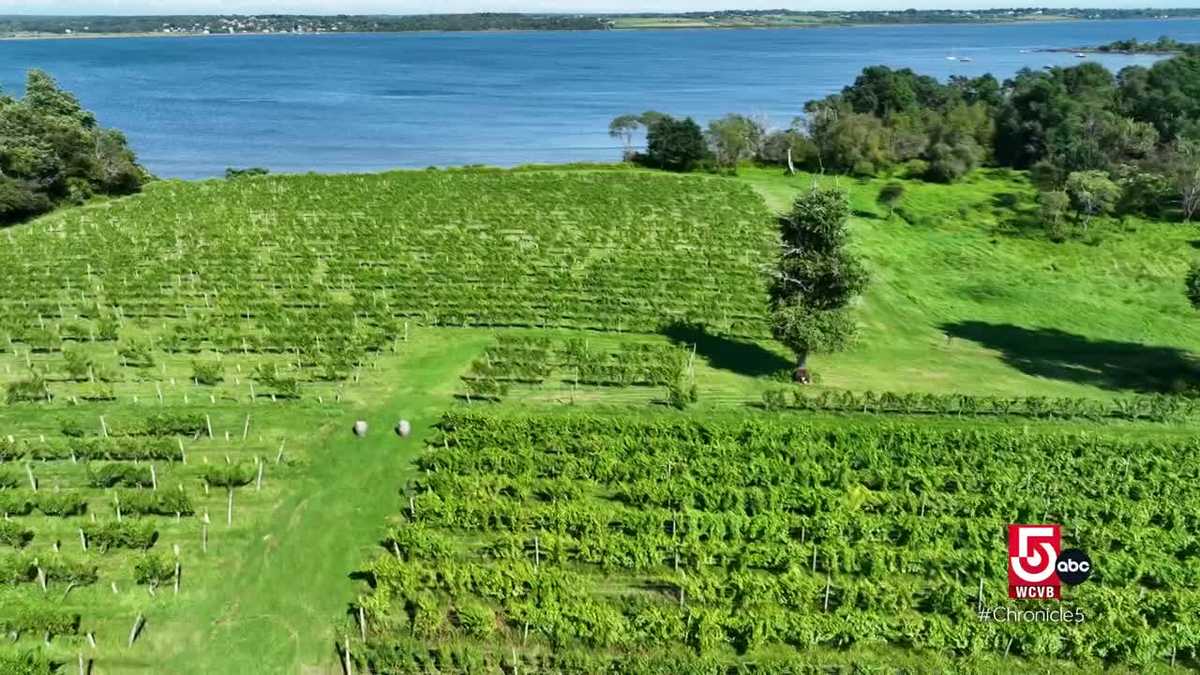 Connecticut boasts an extensive wine trail