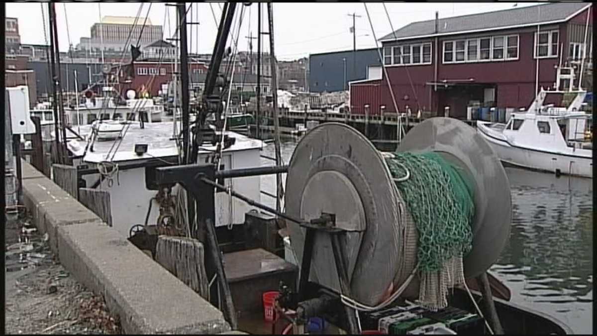 Business cluster slated for Portland's Maine State Pier