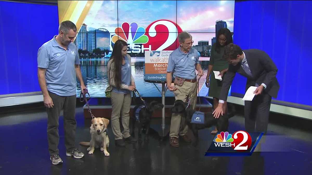 3rd Annual Walkathon Fundraiser For Southeastern Guide Dogs