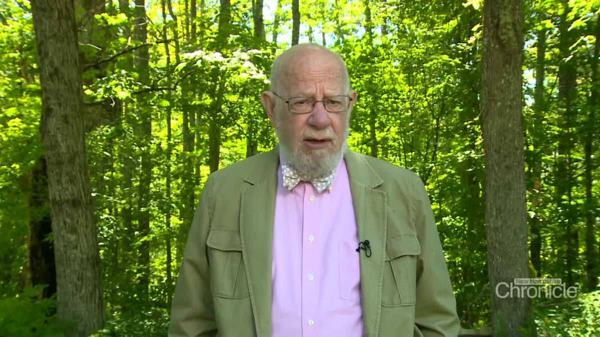 Fritz Wetherbee's New Hampshire: Catamounts and Bears