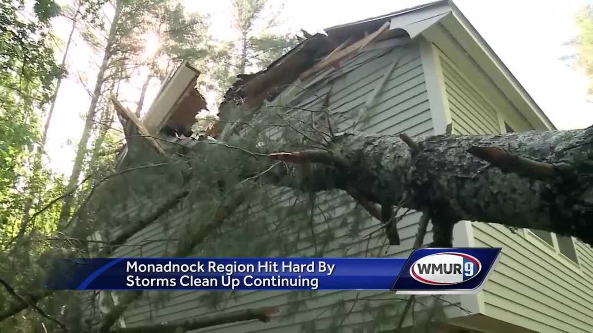 Trees topple during powerful storm
