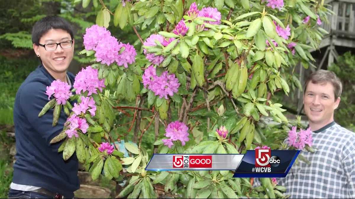 Hope in Bloom brings greenery to cancer patients