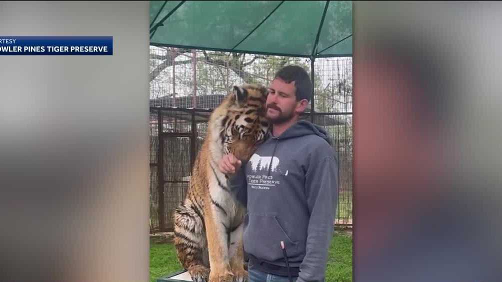 Caretaker killed in tiger accident at Oklahoma animal preserve