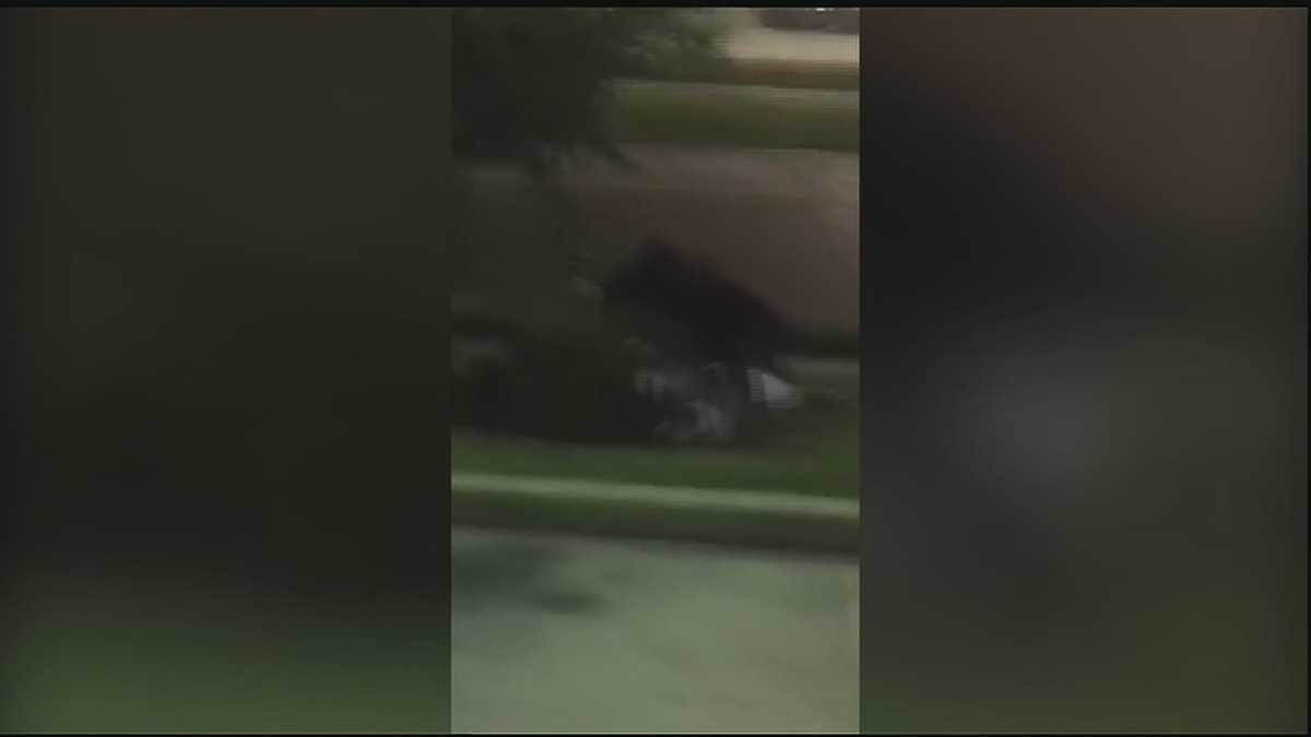 Fired deputy has history of bad behavior, police say