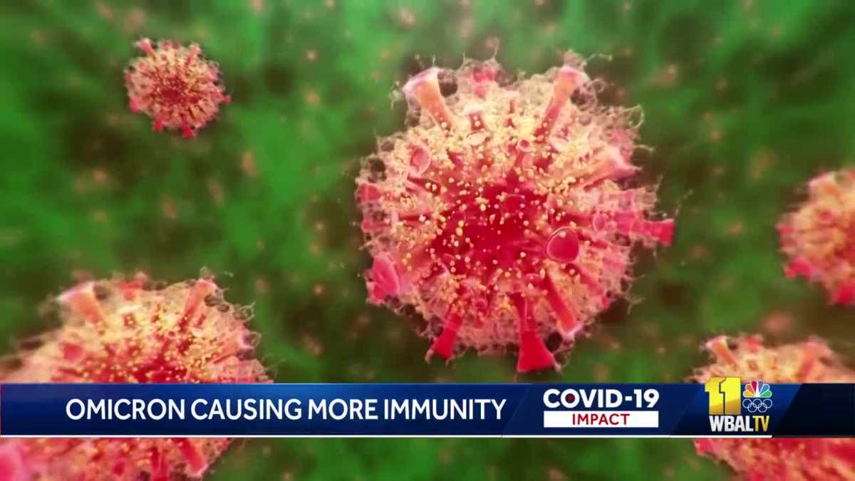 Current spike of omicron variant may lead to unexpected results