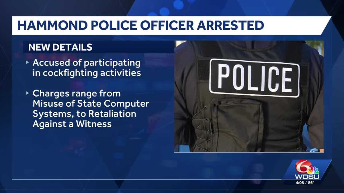 Hammond police officer accused in cockfighting investigation