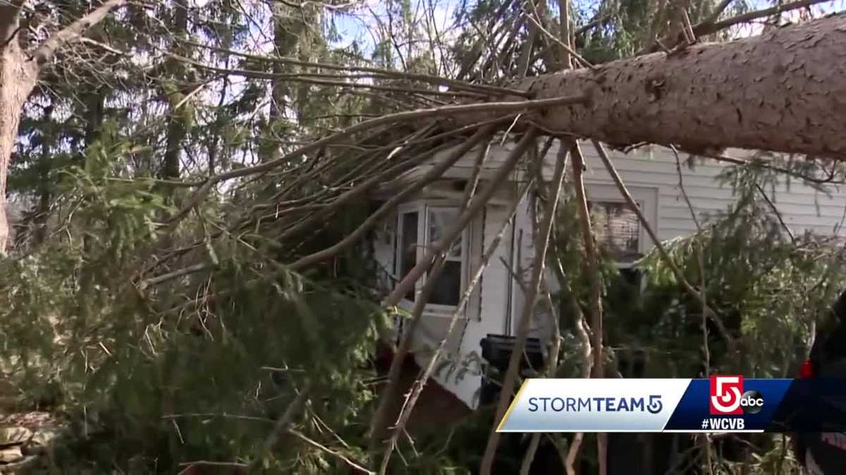 Gusts snaps trees, tear down powerlines