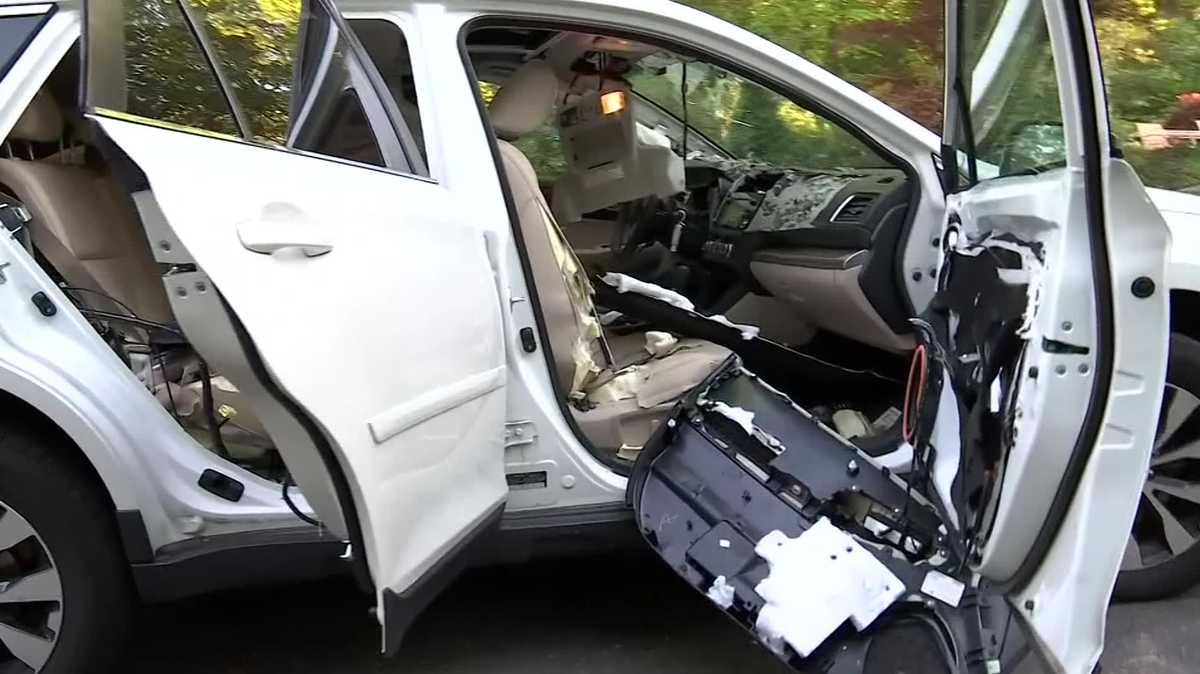 Bear destroys woman's car after getting stuck inside