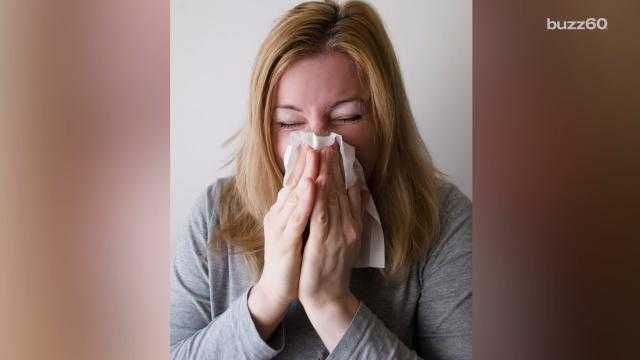 These Foods Could Keep You Sniffle-Free During Cold and Flu Season