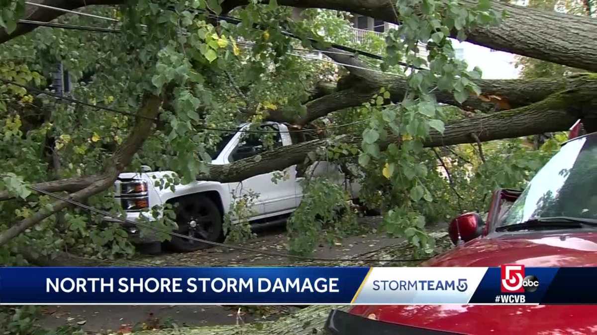 Monster-sized machines helping clear North Shore storm damage